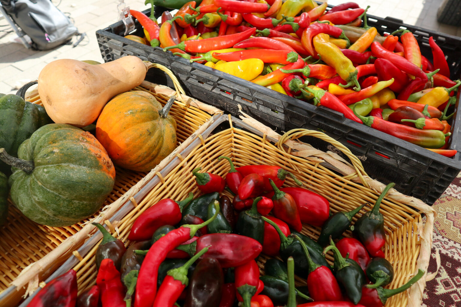 3 Fall Foods to Nourish You and Your Baby - Sustainable Food Center